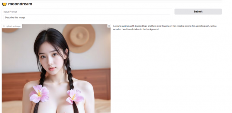 moondream v1.2 开源 AI人工智能 图片反推提示词神器，可批量处理图片提示词 一键整合包 – 神造AI